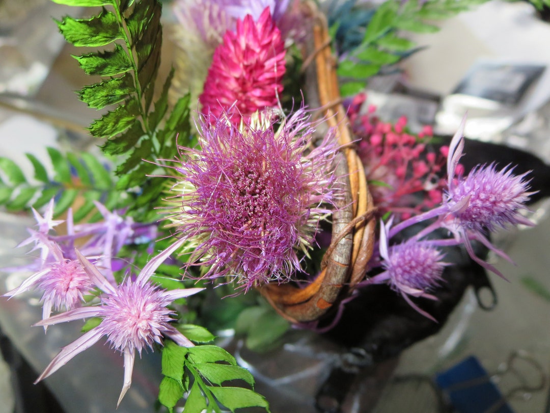 Thistle Décor Scottish Thistle Arrangement Dried Flowers Small ...
