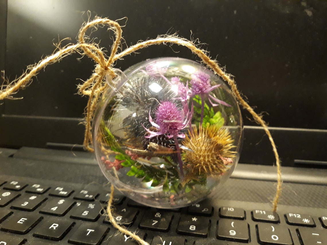 Thistle Décor Real Thistle Terrarium Scottish Thistle the - Etsy