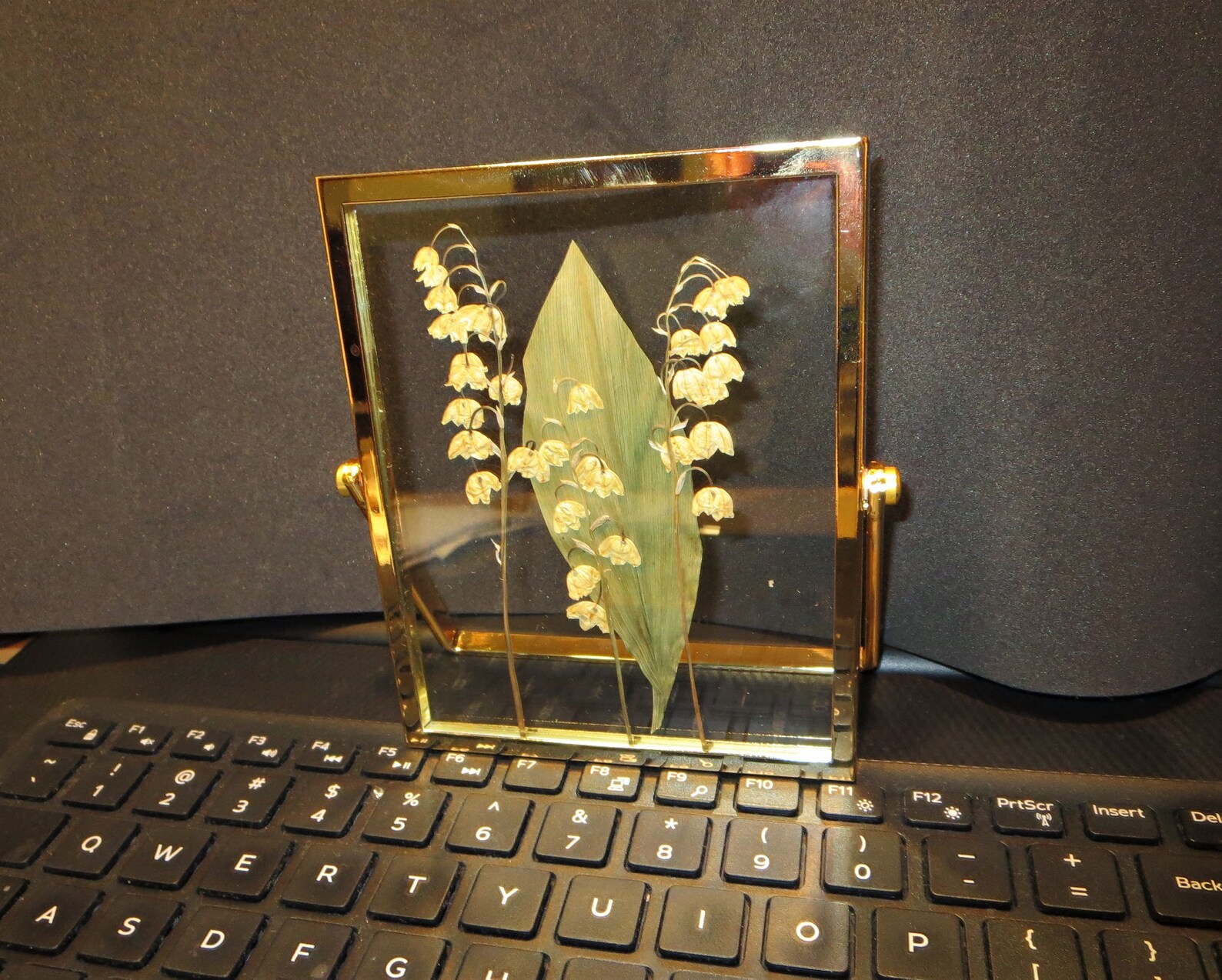 Pressed Flower Display Real Dried Flowers Double Glass Frame - Etsy