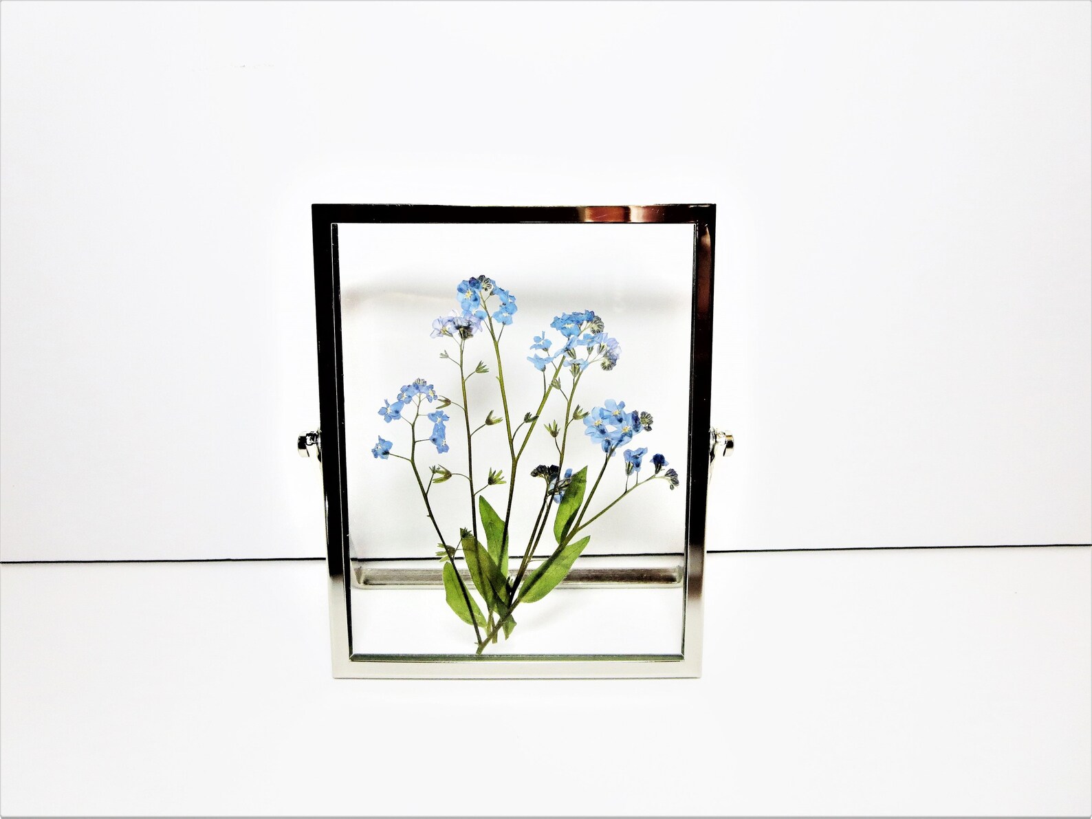 Pressed Flower Display Real Dried Flowers Double Glass Frame - Etsy