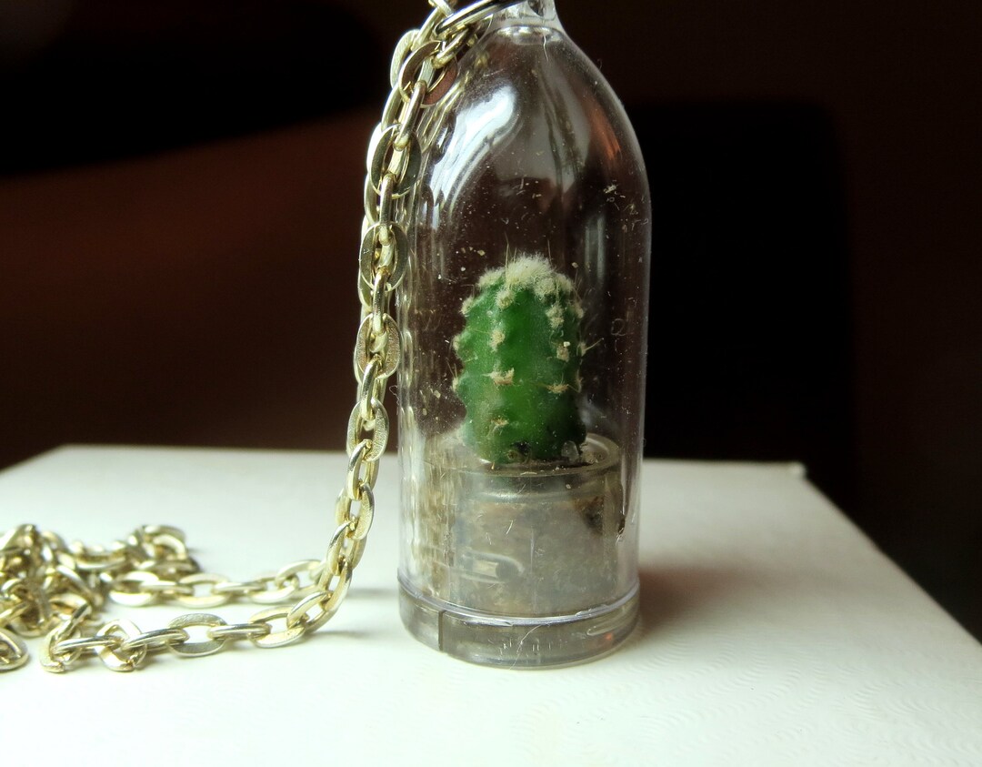 Pink Cactus Necklace, Real Cactus Terrarium Necklace, Orange Mini ...