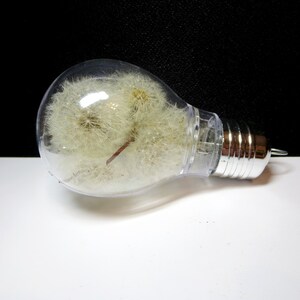 Dandelions in Bulb Decor Make a Wish Dandelion Seeds Dandelion - Etsy