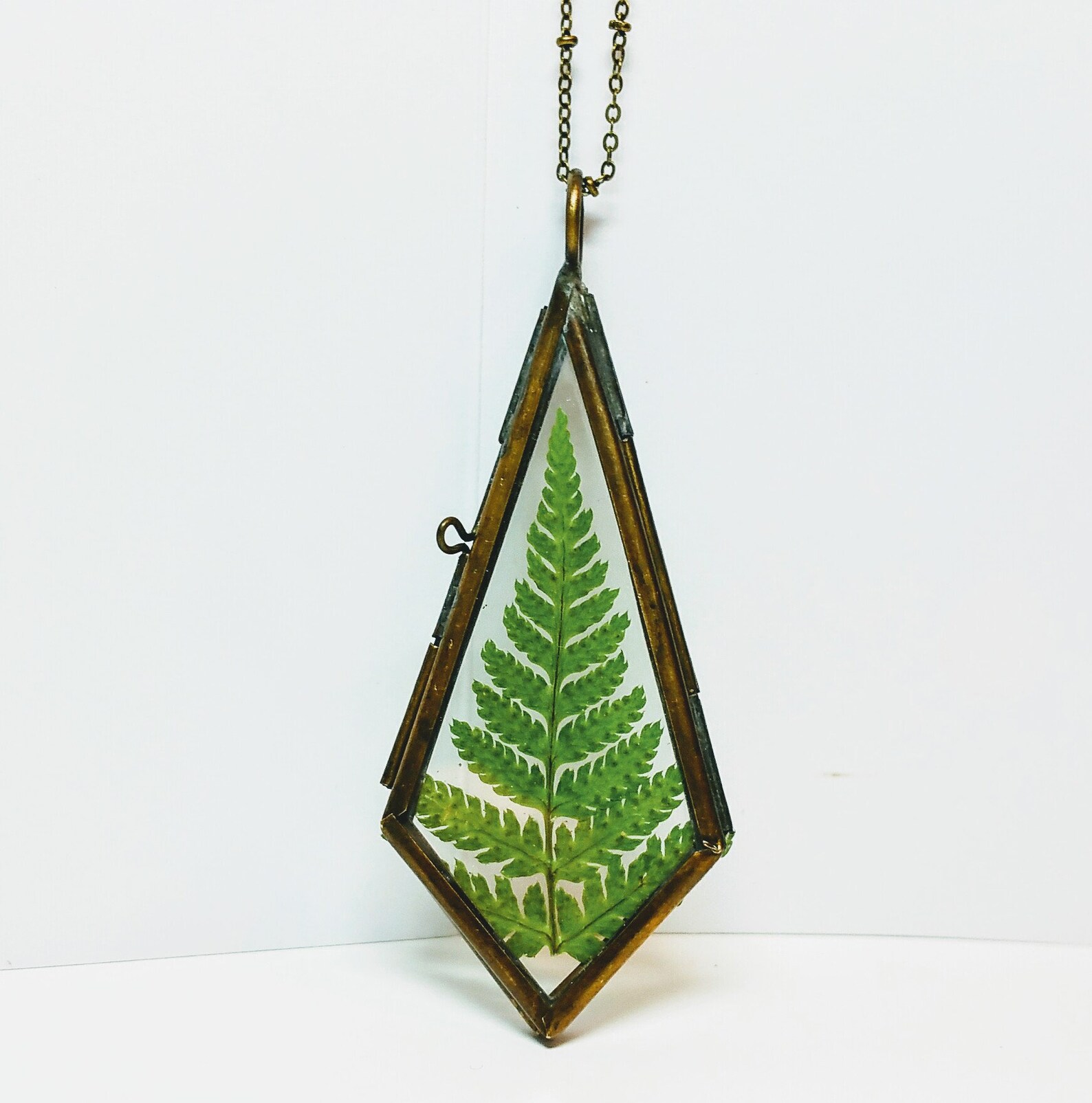 Pressed Fern Necklace Real Fern Necklace Botanical Jewelry - Etsy