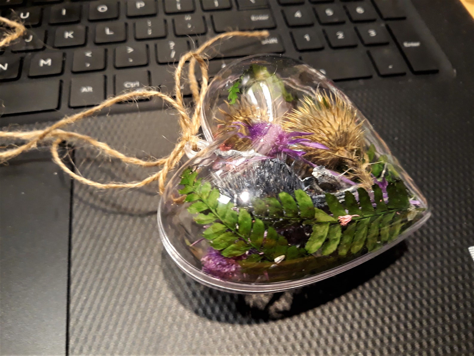 Thistle Décor Real Thistle Terrarium Scottish Thistle the - Etsy