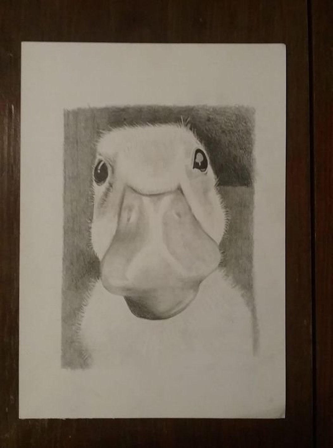 Mr. Waddles Duck Colonial Primitive Vintage Digital Print - Etsy