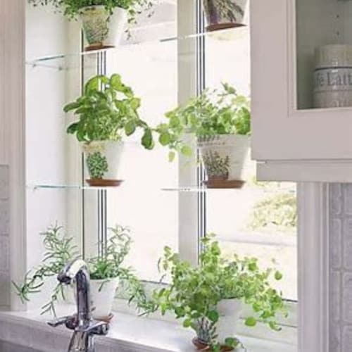 Clear Acrylic Window Plant Shelf Hanging Plant Shelf Indoor - Etsy Clear Acrylic Window Plant Shelf Hanging Plant Shelf Indoor - Etsy