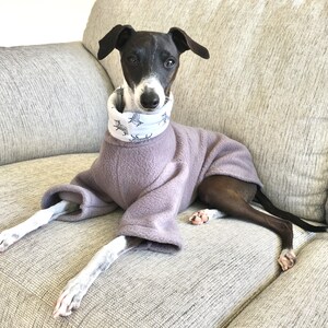 Italian greyhound clothing | Etsy