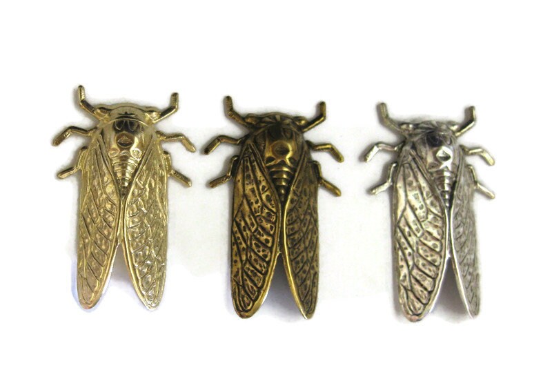 Brass Cicada Stamping Made in the USA | Etsy