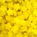 Twinkle Twinkle Translucent Yellow Star Beads, Jewelry Craft Supplies ...