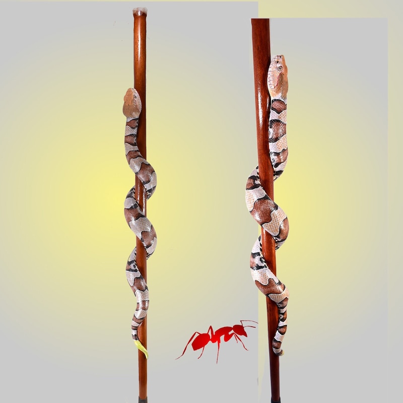 Snake Head Walking Stick - Etsy