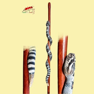 Snake Wooden Walking Stick Full Body Hand Carved Twisted | Etsy