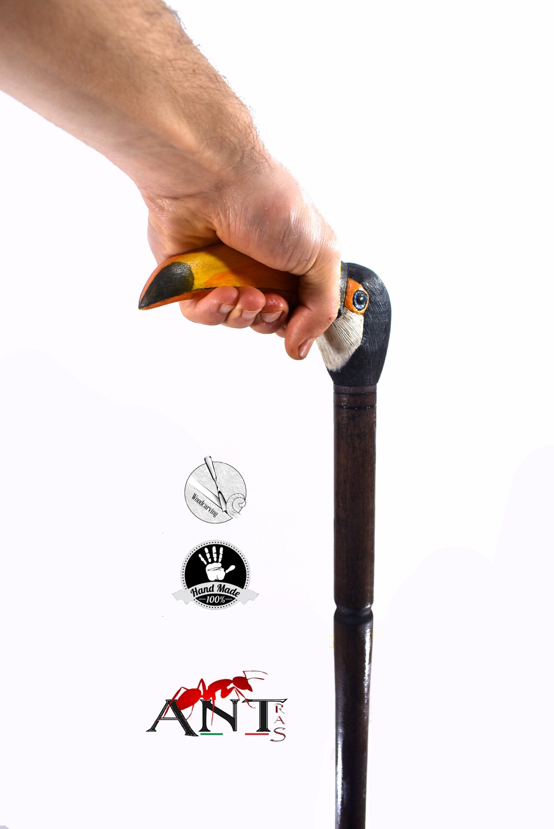 Custom Wood Walking Cane Toucan Head Handle hand Carved Cane - Etsy