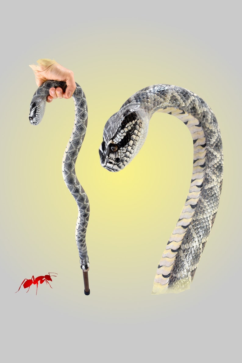 Diamondback Rattlesnake Wooden Walking Cane Full Body,hand Carved Cane ...