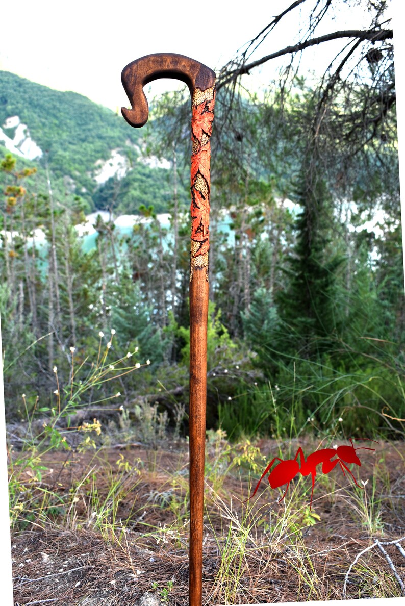 Custom wood walking caneShepherd Crook handle with maple | Etsy