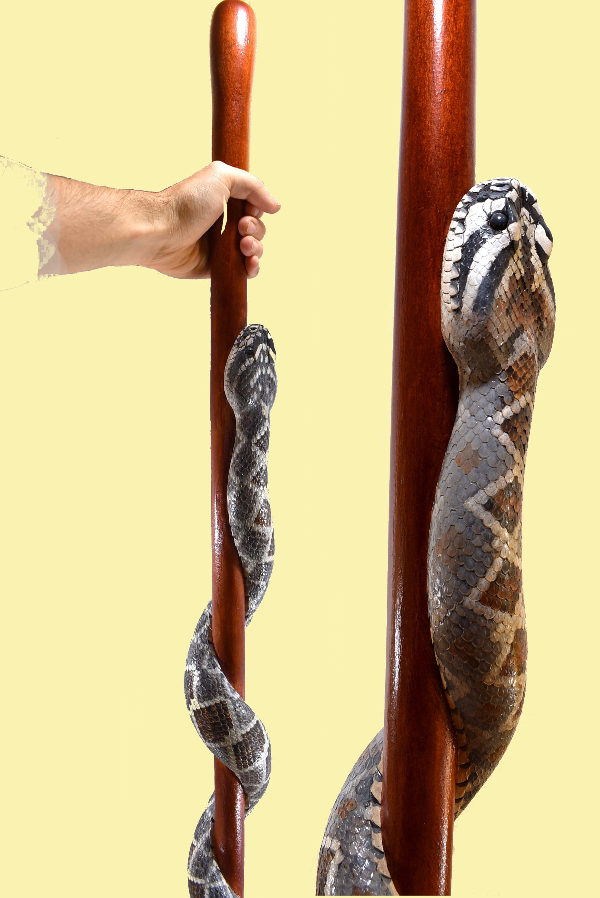 Snake Wooden Walking Stick Full Body Hand Carved Twisted | Etsy