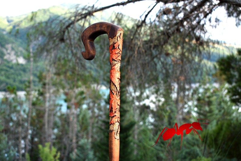 Custom wood walking caneShepherd Crook handle with maple | Etsy