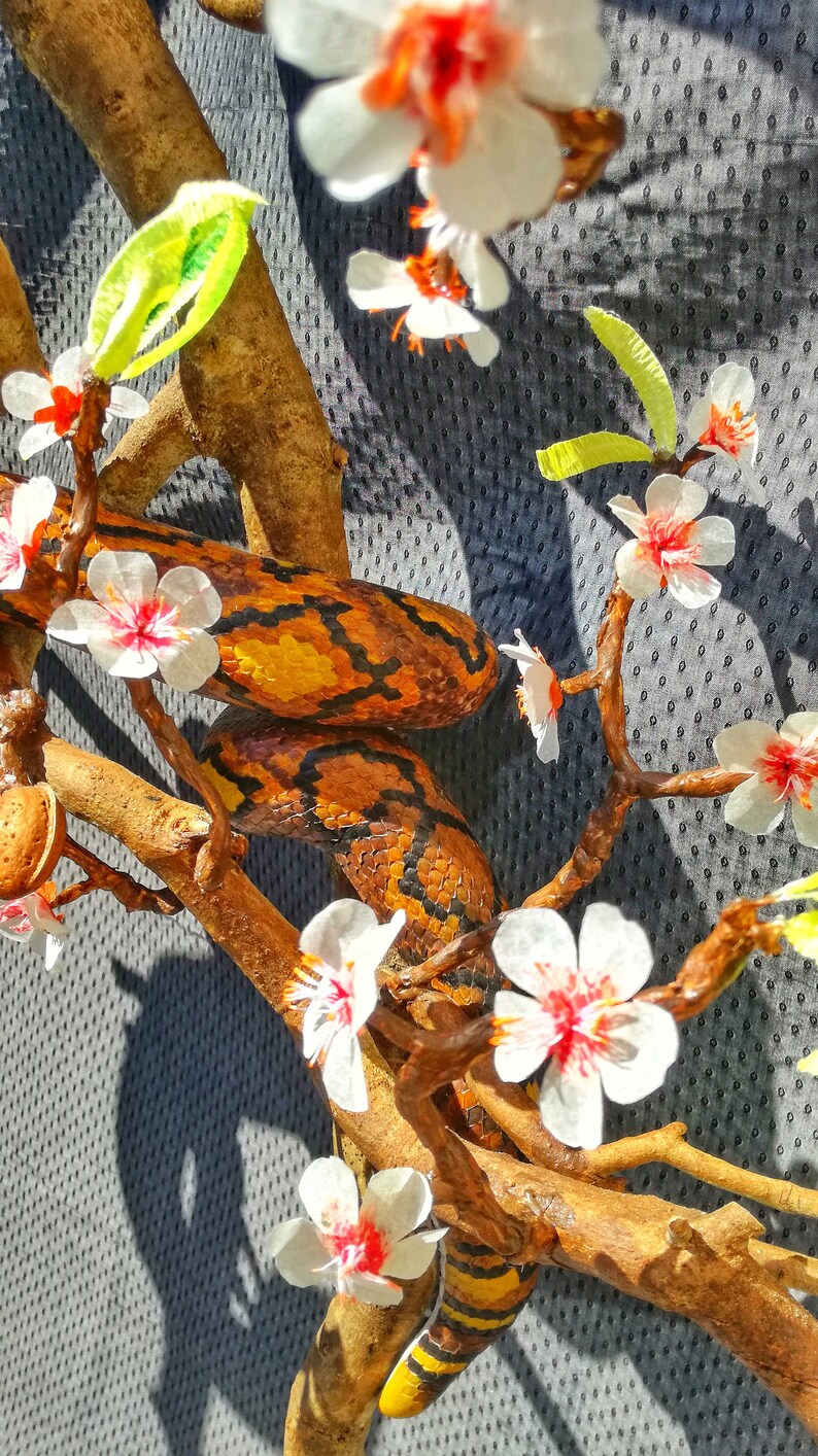 Reticulated pythonsnake wood on almond branchalmond | Etsy