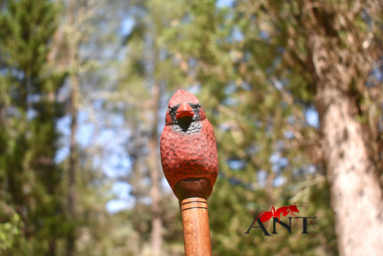 Custom Wood Walking Cane Realistic Red Cardinal Wood Bird - Etsy
