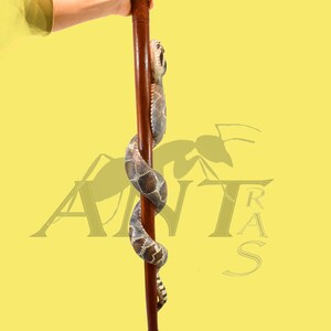 Snake Wooden Walking Stick Full Body, Hand Carved Twisted Stick Art ...