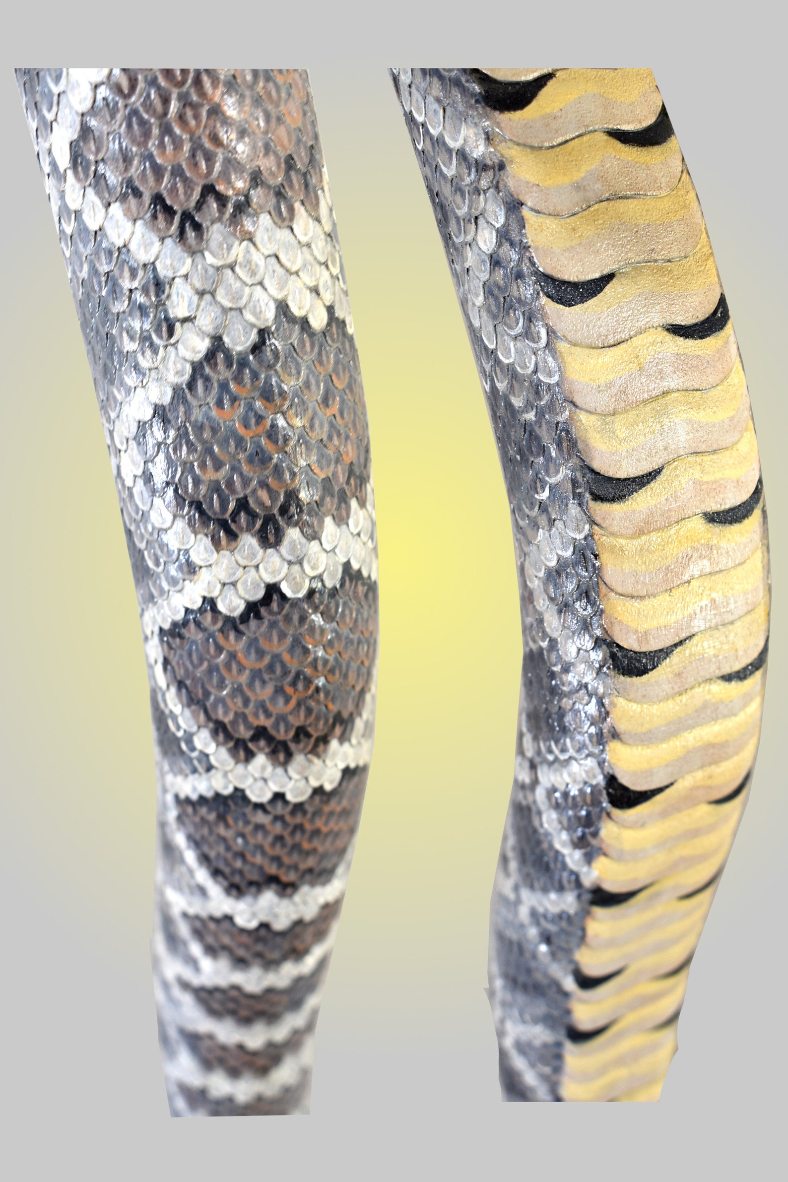 Diamondback Rattlesnake Wooden Walking Cane Full Body,hand Carved Cane ...