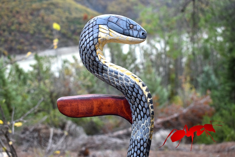 King cobra snake wooden walking cane full bodyhand carved | Etsy
