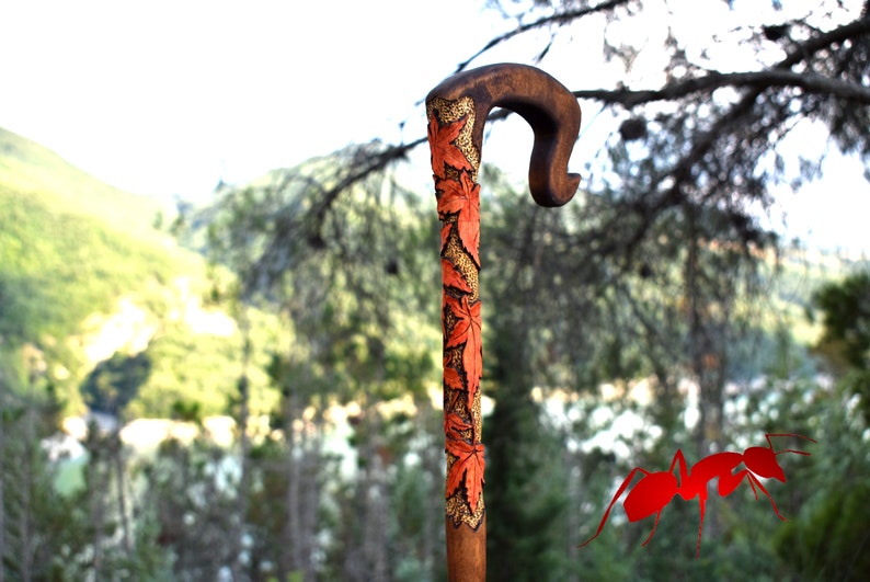 Custom wood walking caneShepherd Crook handle with maple | Etsy