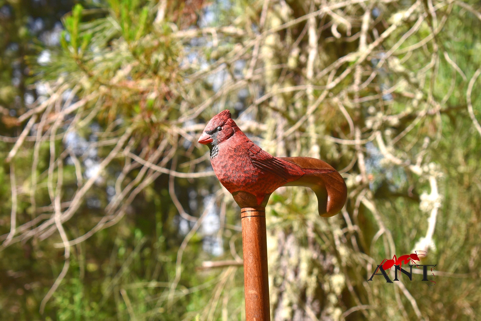 Custom Wood Walking Cane Realistic Red Cardinal Wood Bird - Etsy