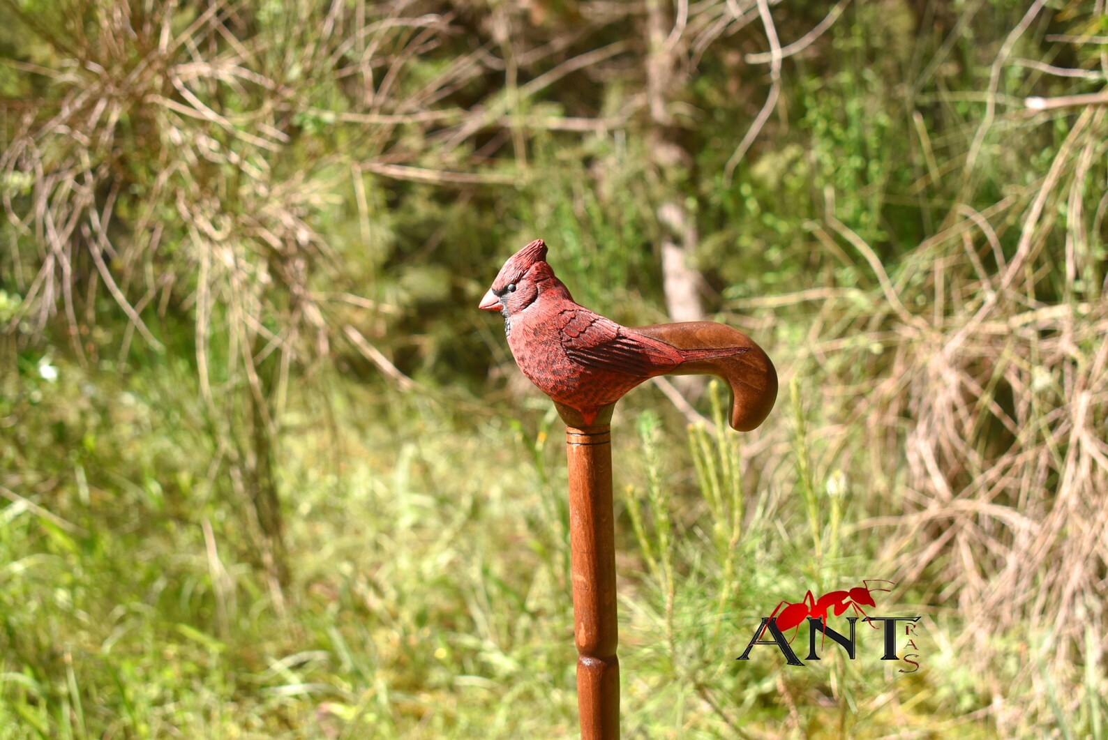 Custom Wood Walking Cane Realistic Red Cardinal Wood Bird - Etsy