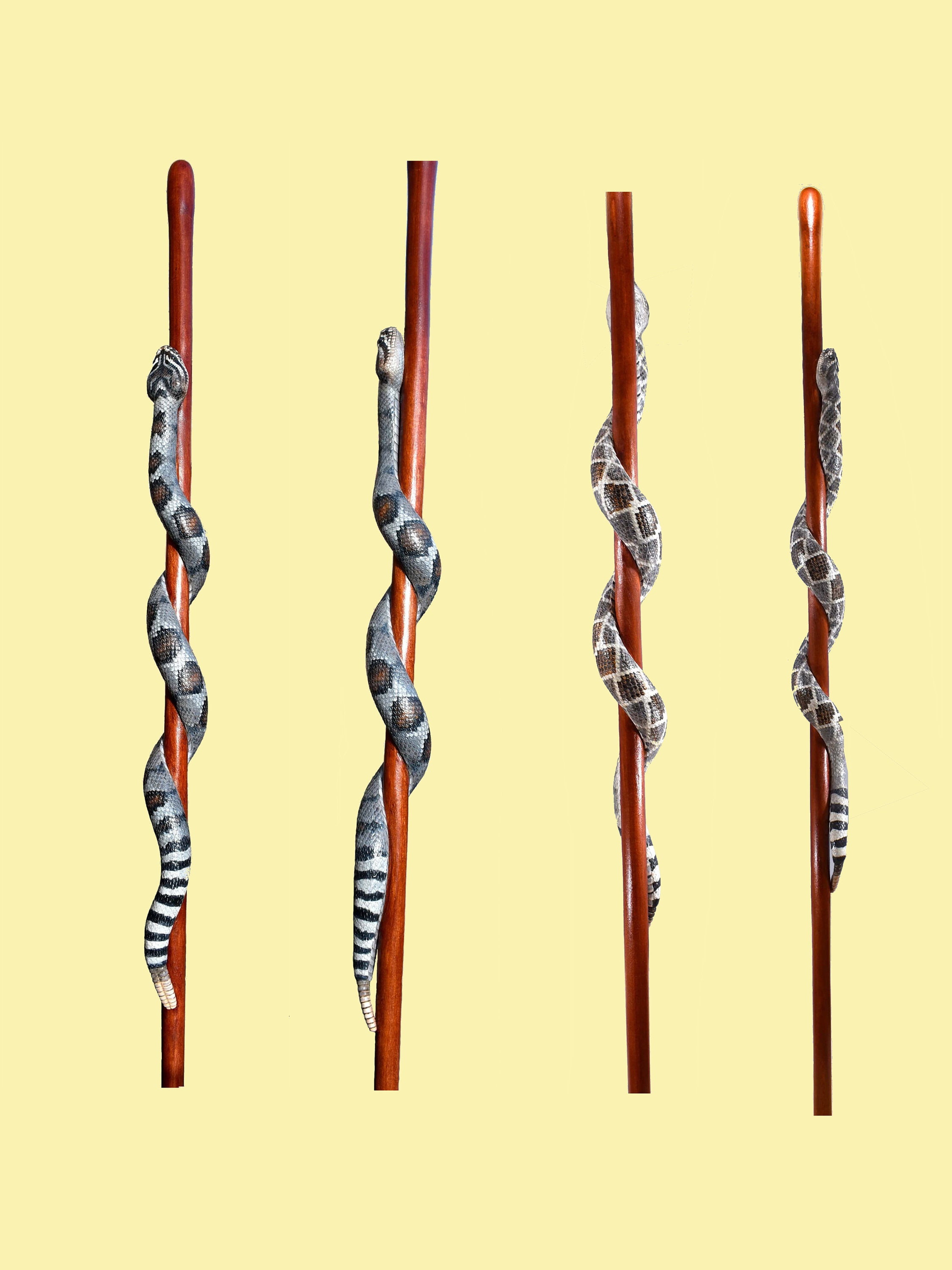 Snake Wooden Walking Stick Full Body Hand Carved Twisted | Etsy