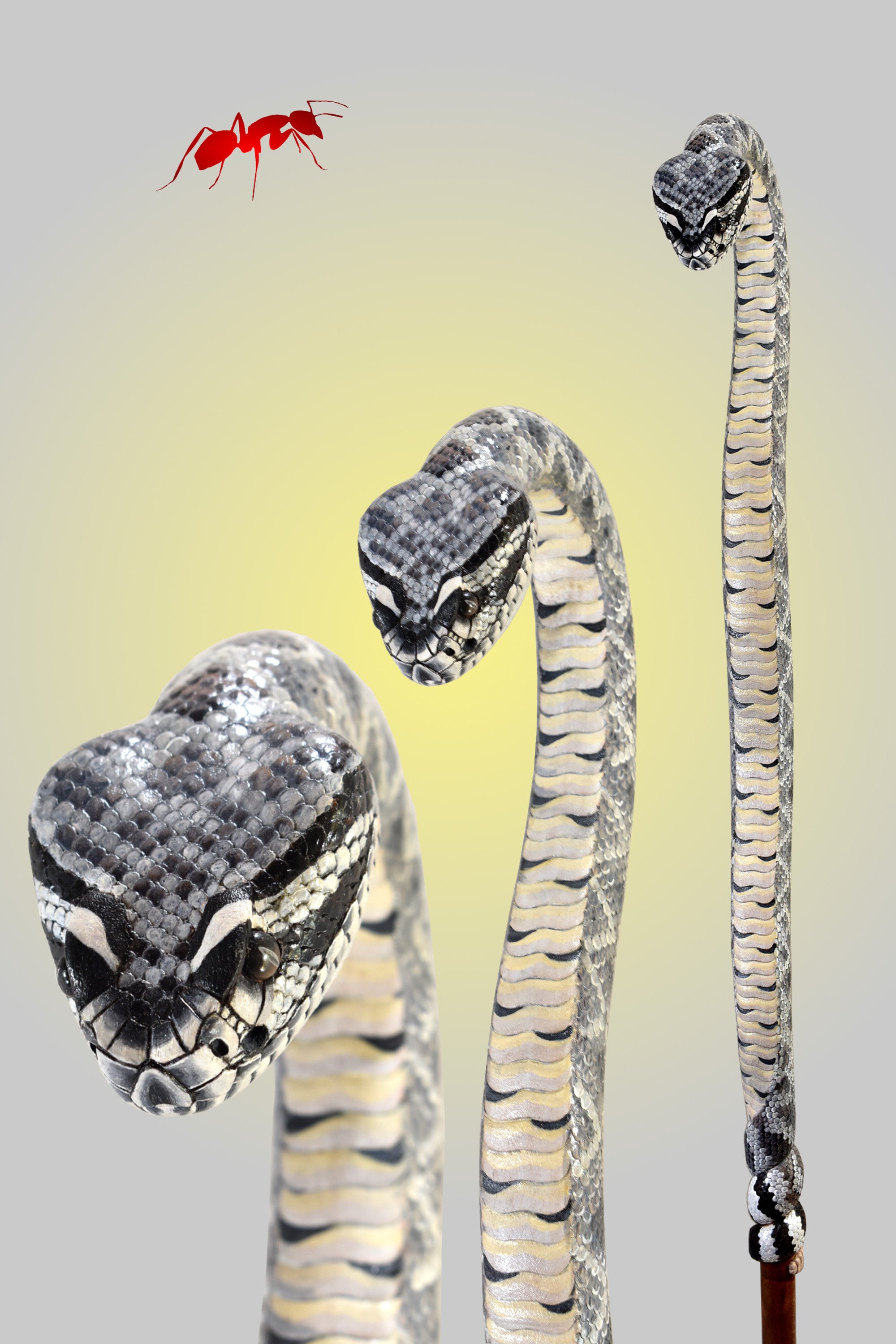 Diamondback Rattlesnake Wooden Walking Cane Full Body,hand Carved Cane ...