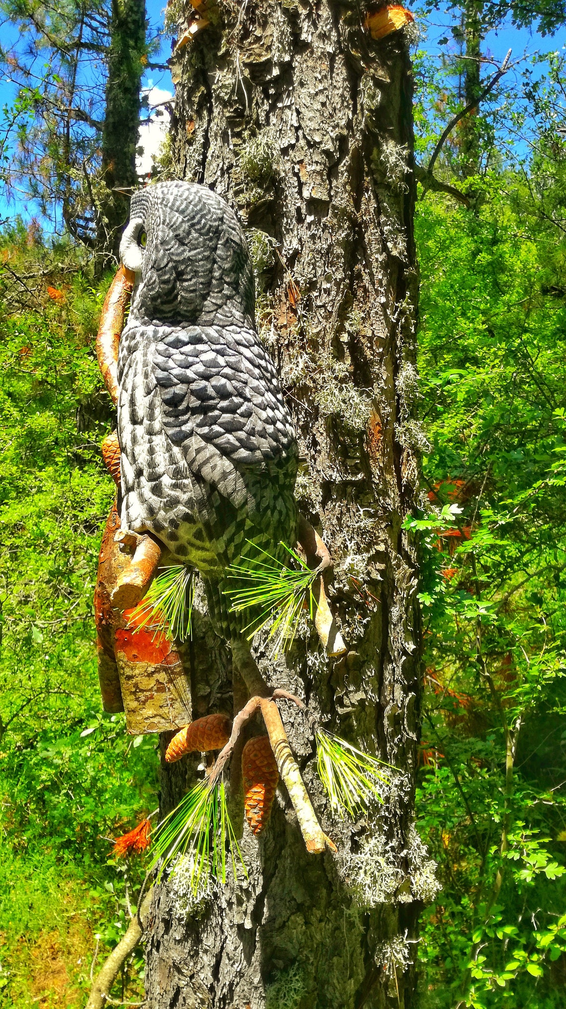 Great Grey Owl on Pine Branchwooden Owlhand Carved | Etsy