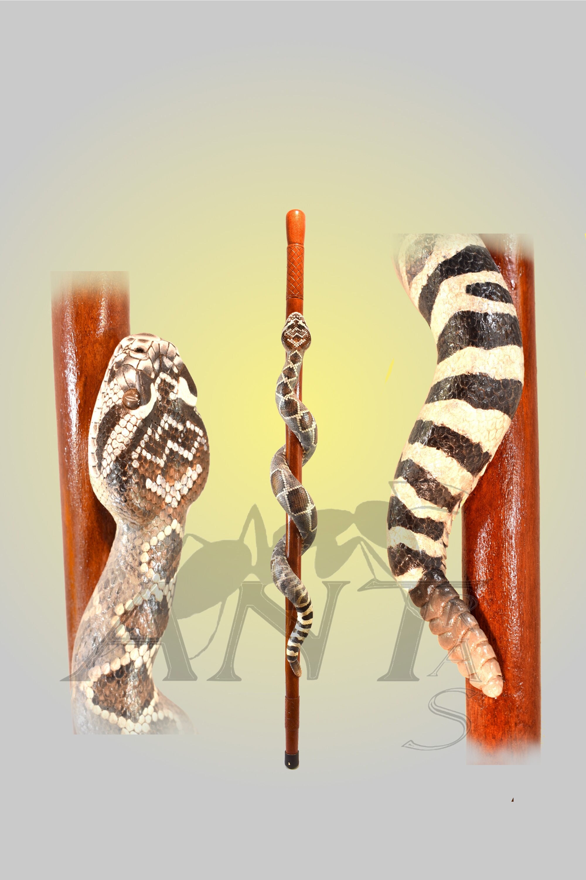 Hand Carved Snake Canes