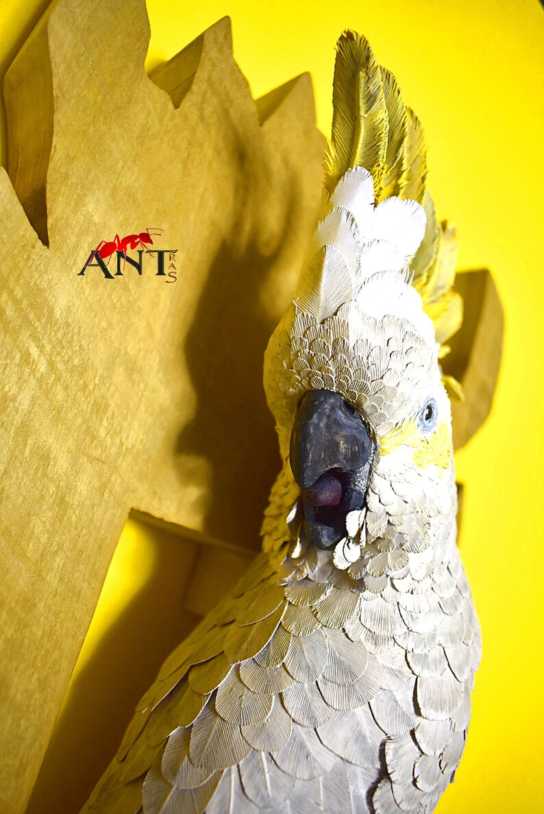 Sulphur-crested Cockatoo Parrot Wood Paper Bird - Etsy Canada