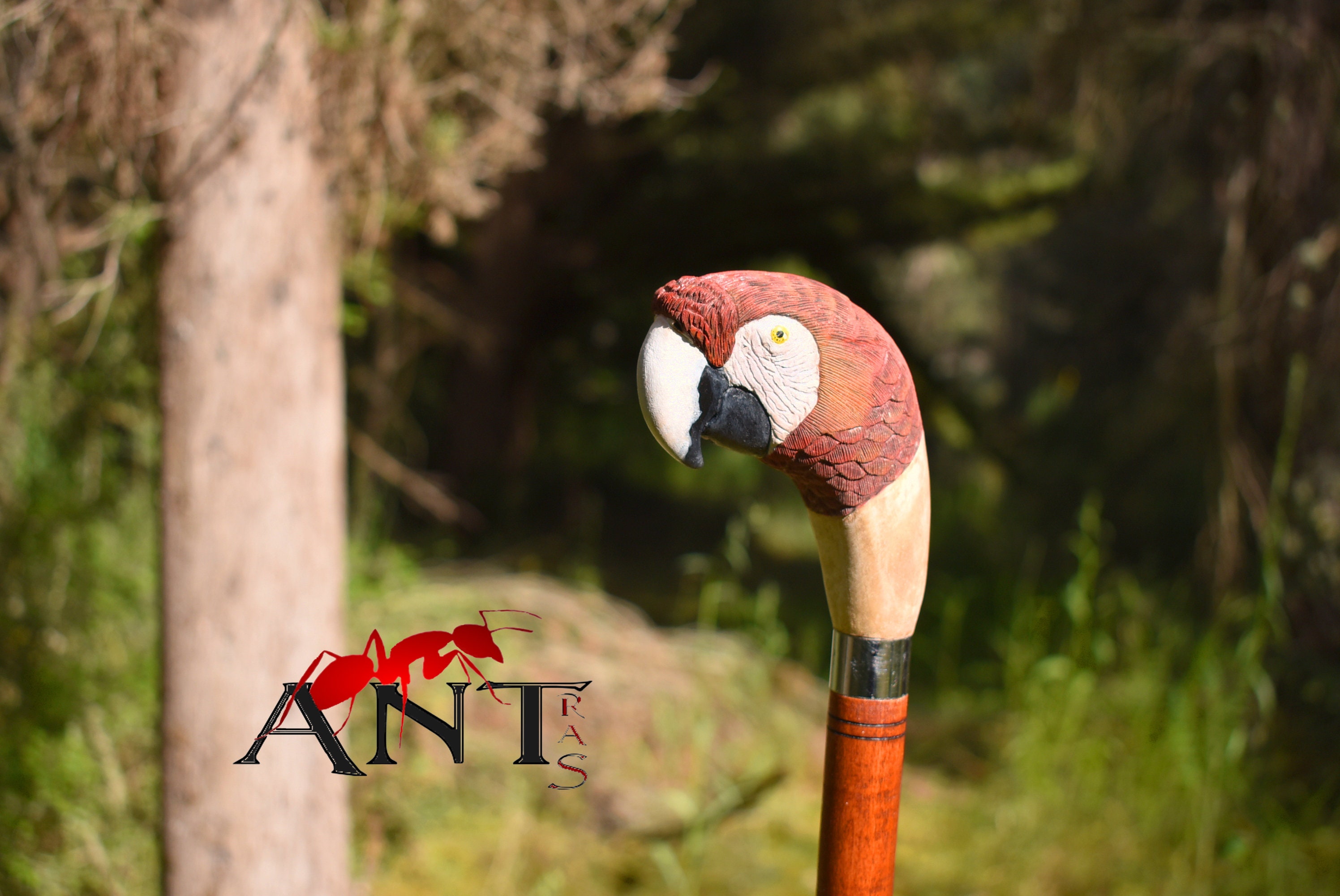 Custom Wood Walking Stick,realistic Scarlet Parrot Wood Bird,hand ...