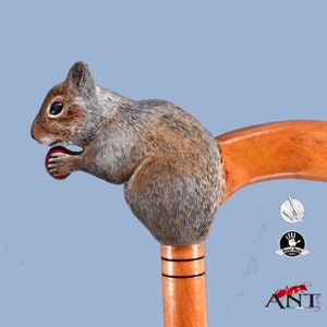 Custom Walking Cane Wood Chipmunk Squirrel Realistic Carving - Etsy