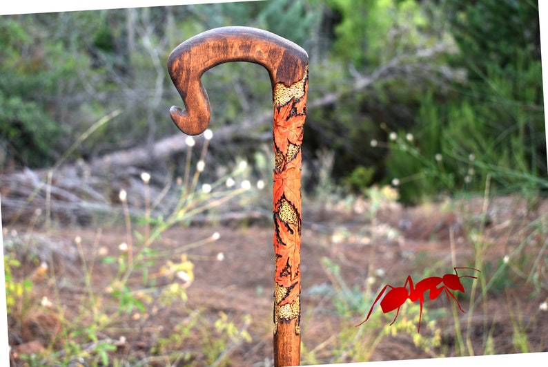 Custom wood walking caneShepherd Crook handle with maple | Etsy