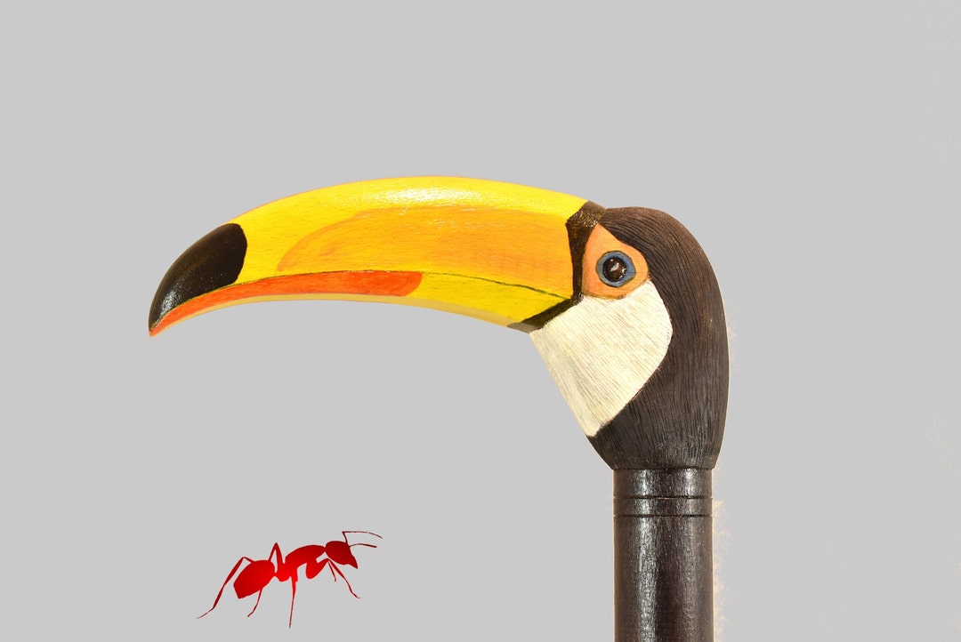 Custom Wood Walking Cane Toucan Head Handle, Hand Carved Cane for Bird ...