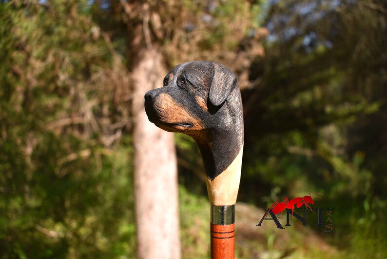 Custom Wood Walking Stick,realistic Rottweiler Dog Head Wood ,hand ...