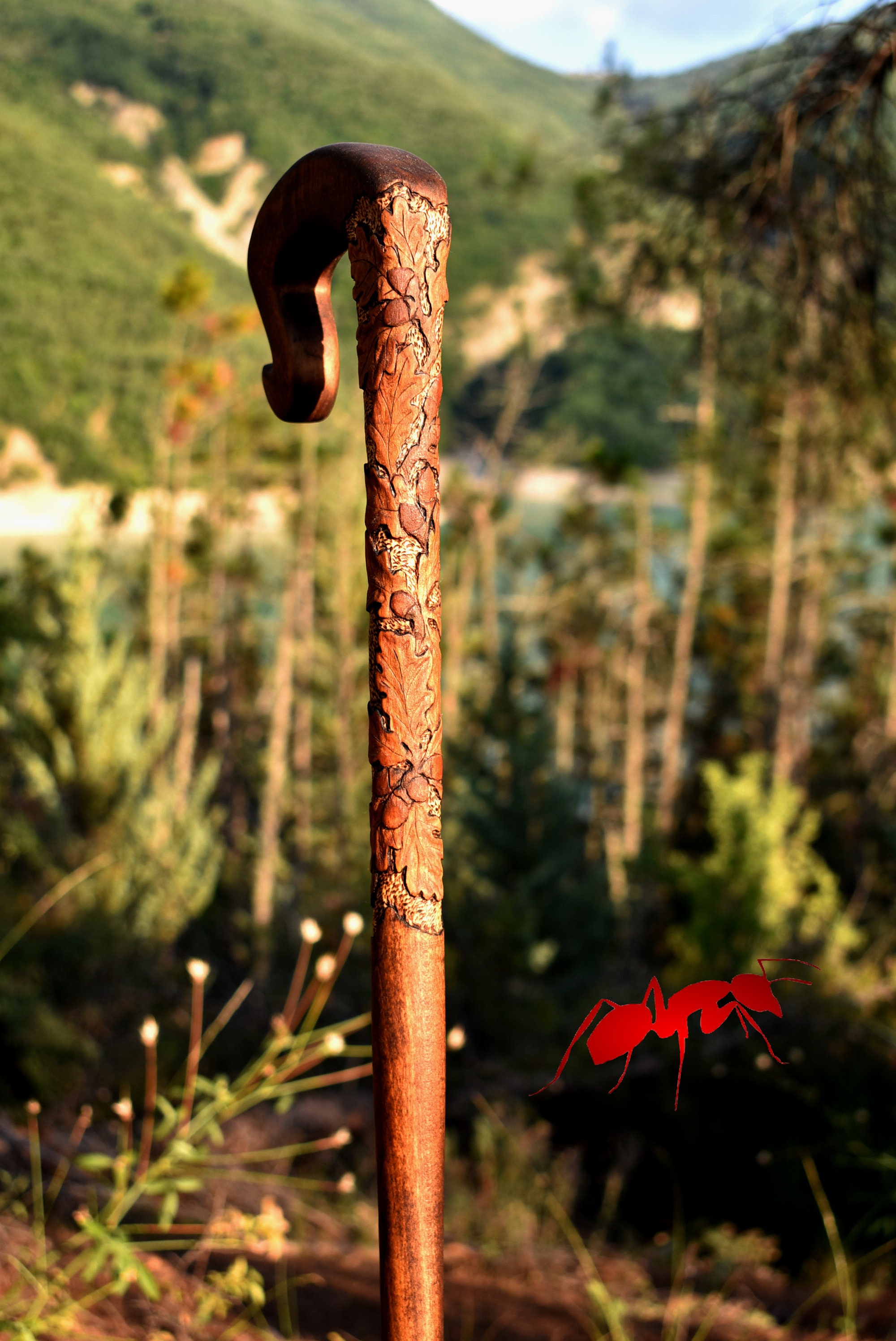 Custom Wood Walking Cane Shepherd Crook Handle With Oak - Etsy