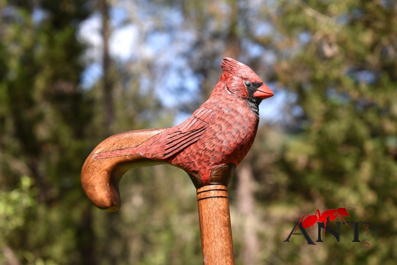 Custom Wood Walking Cane Realistic Red Cardinal Wood Bird - Etsy