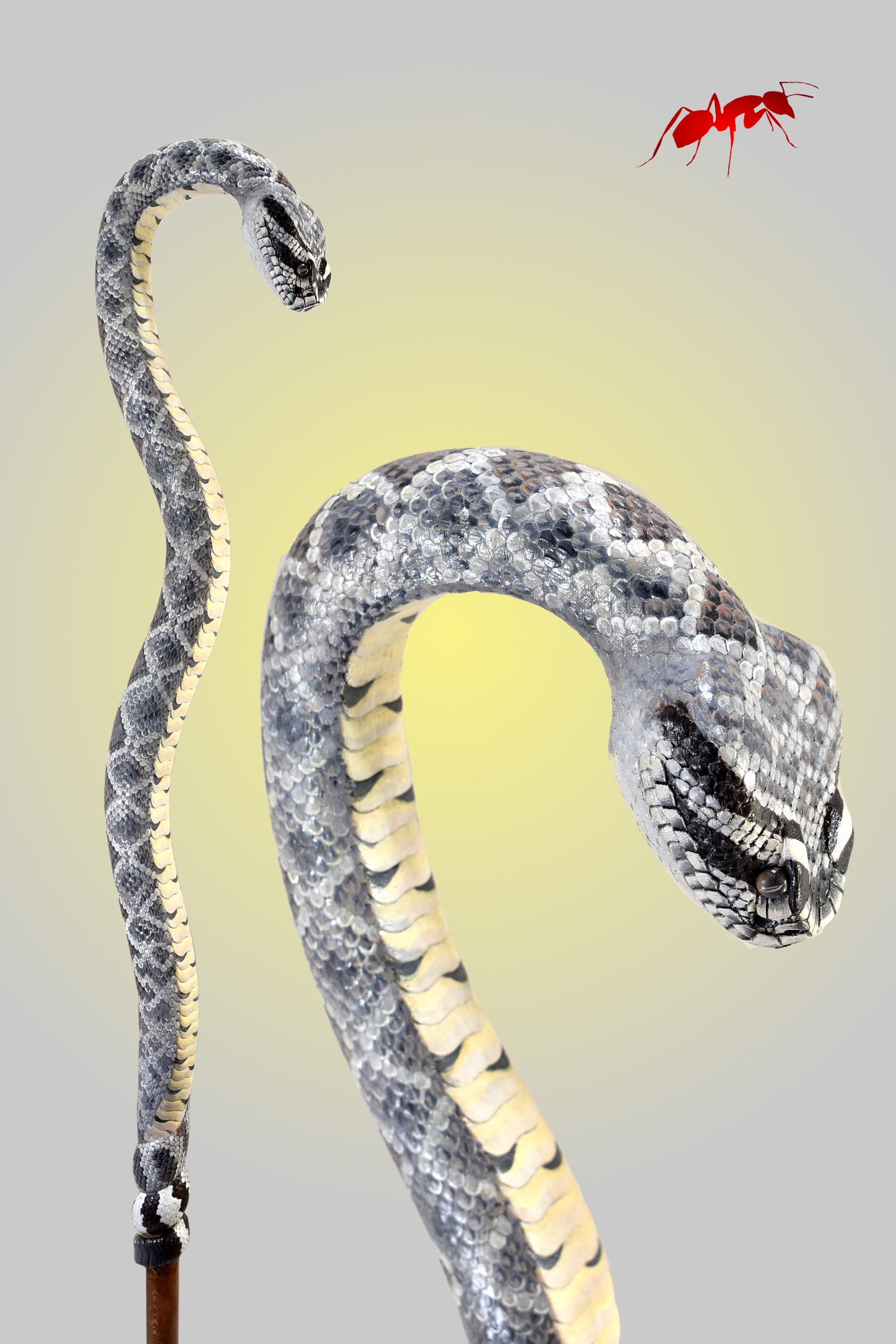 Diamondback Rattlesnake Wooden Walking Cane Full Body,hand Carved Cane ...