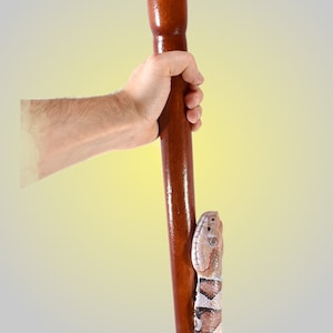 COPPERHEAD Snake Sculpture Wooden Walking Stick Hiking Staff, Hand ...