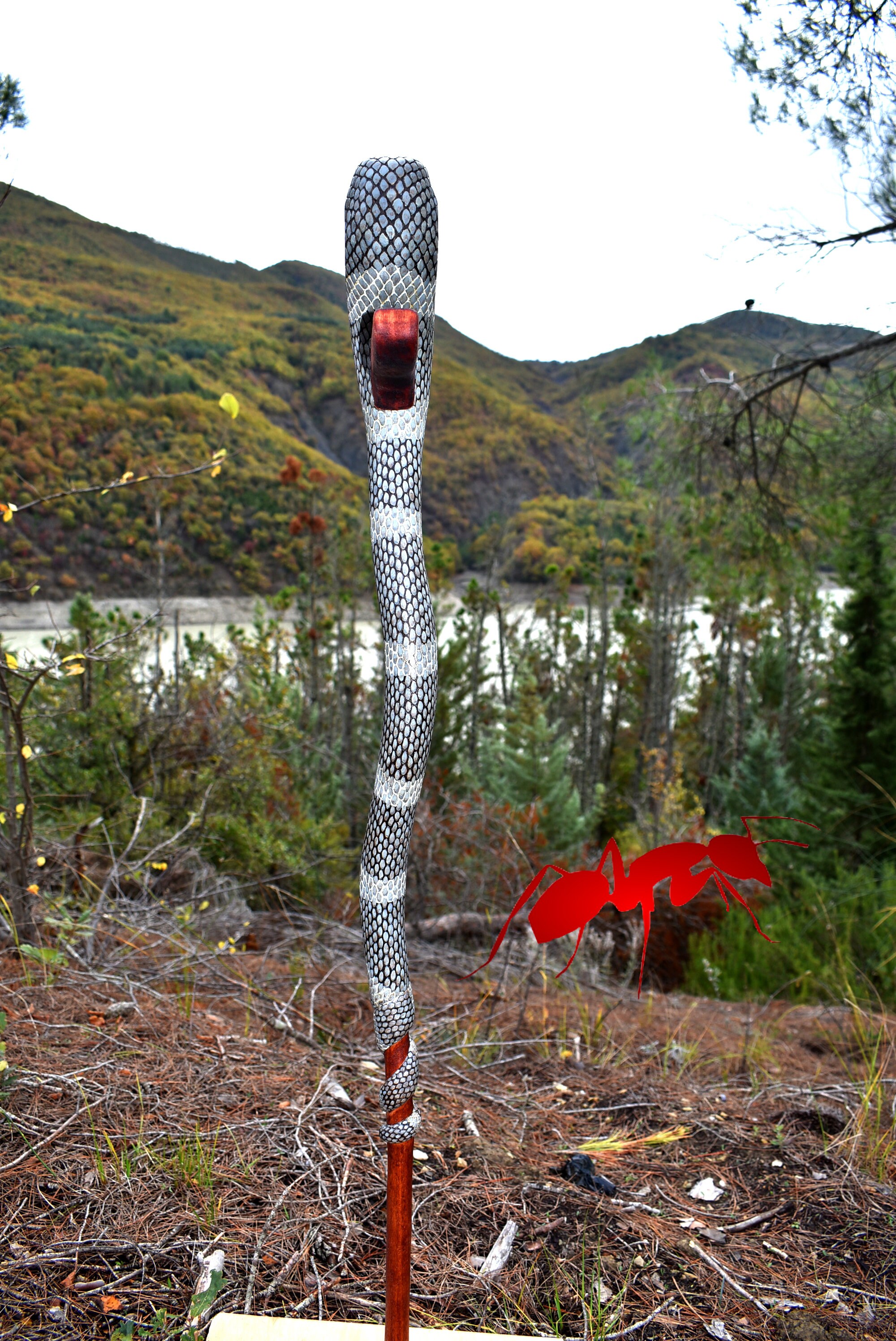 King cobra snake wooden walking cane full bodyhand carved | Etsy