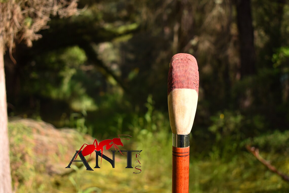 Custom Wood Walking Stick,realistic Scarlet Parrot Wood Bird,hand ...