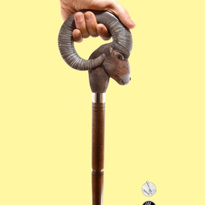 Ram Walking Cane Handmade Vintage Wooden Walking Canes Sticks for Men ...