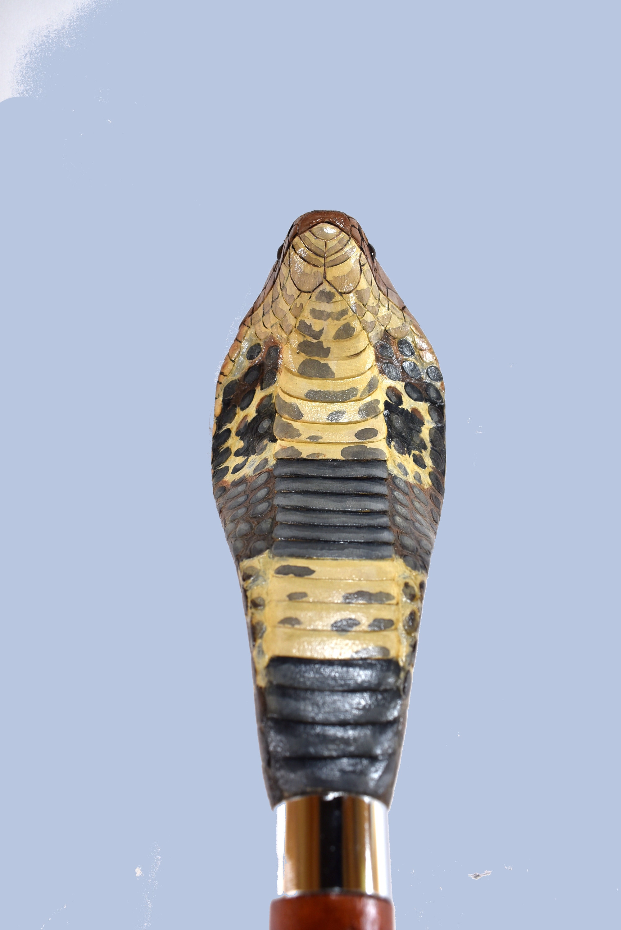 Common Cobra Snake Wooden Walking Stick, Hand Carved Cane Art Wood ...