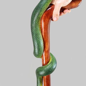 Wooden Walking Cane Bamboo Tree Viper Full Body, Hand Carved Wood Art ...