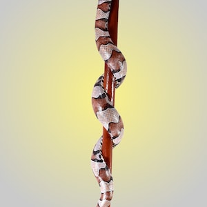 COPPERHEAD Snake Sculpture Wooden Walking Stick Hiking Staff, Hand ...