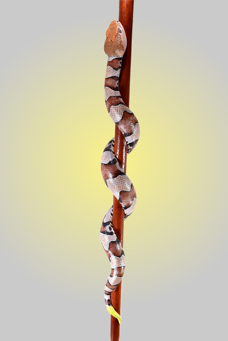 COPPERHEAD Snake Sculpture Wooden Walking Stick Hiking Staff, Hand ...