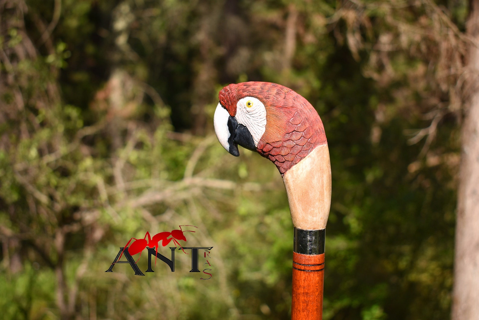 Custom wood walking stickrealistic scarlet parrot wood | Etsy